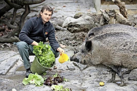 Devenir soigneur animalier- SOS Vétérinaire